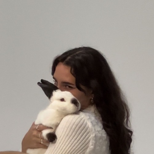 Pretty Girl Tracklists Overview