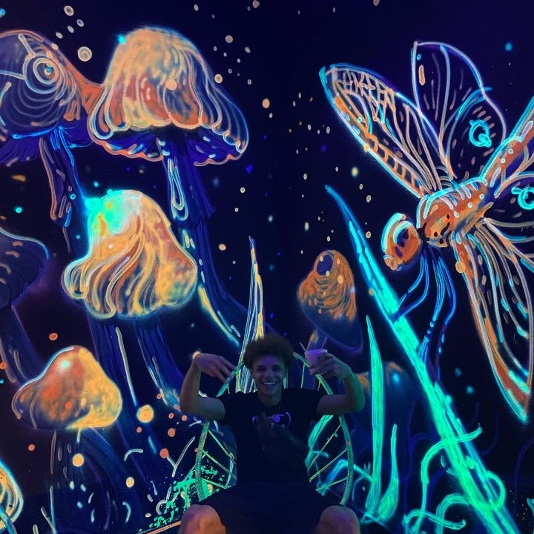 Stream Prince X Flashy-CHASTISE by Prince of Prince's | Listen online ...