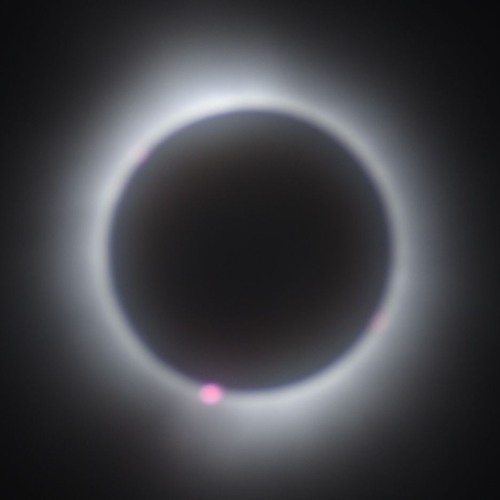 Stream ms. magic music | Listen to songs, albums, playlists for free on ...