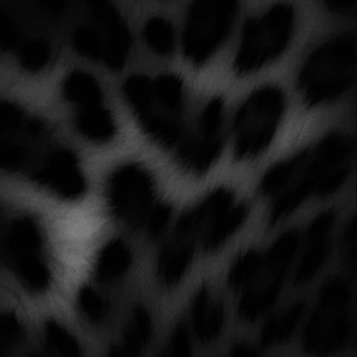 Stream n3al music | Listen to songs, albums, playlists for free on ...