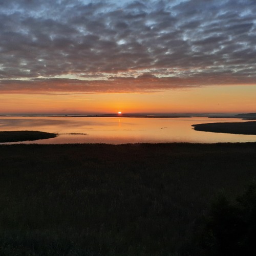 Stream Sarah Korb music | Listen to songs, albums, playlists for free ...