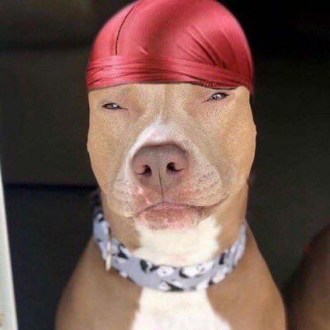 Stream RaeSam music | Listen to songs, albums, playlists for free on ...