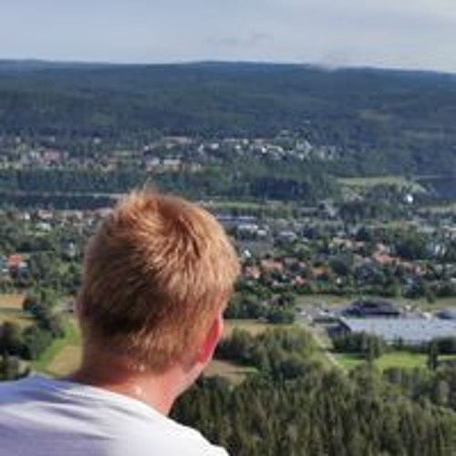 Stream Linus Hedman music | Listen to songs, albums, playlists for free ...