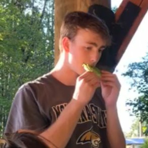 Stream greg music | Listen to songs, albums, playlists for free on ...