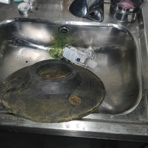 Stream Sgerbwd music | Listen to songs, albums, playlists for free on ...