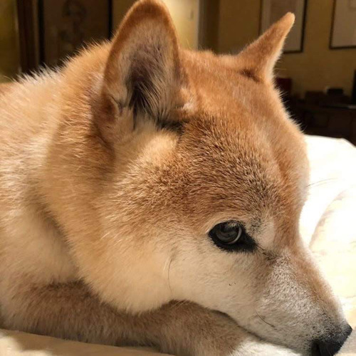 Stream ATF music | Listen to songs, albums, playlists for free on ...