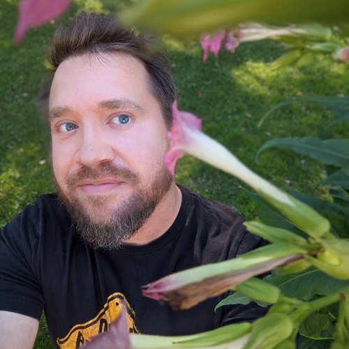 Stream Mike Russo's Discount House of Music music | Listen to songs ...