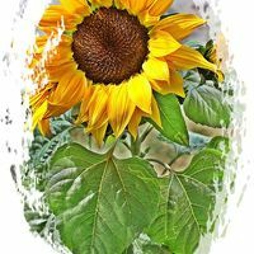 Stream Iwona Rzepka-Witecka music | Listen to songs, albums, playlists ...