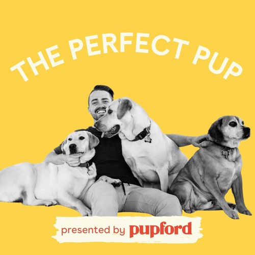 Stream episode What’s Causing A Million Dogs To Be Relinquished To ...
