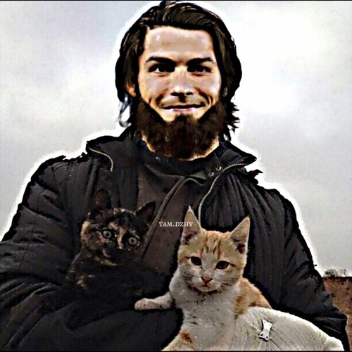 Stream daeshi music | Listen to songs, albums, playlists for free on ...