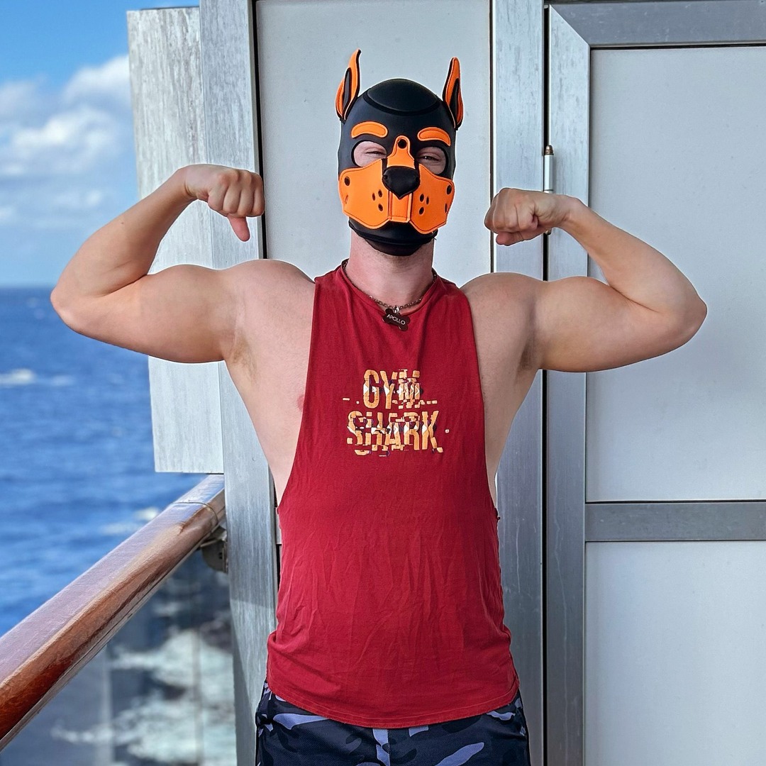 Stream Good Boy Trigger Trainer by Pup Apollo | Listen online for free ...