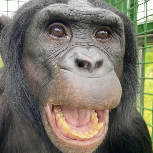 Stream George Verity music | Listen to songs, albums, playlists for ...