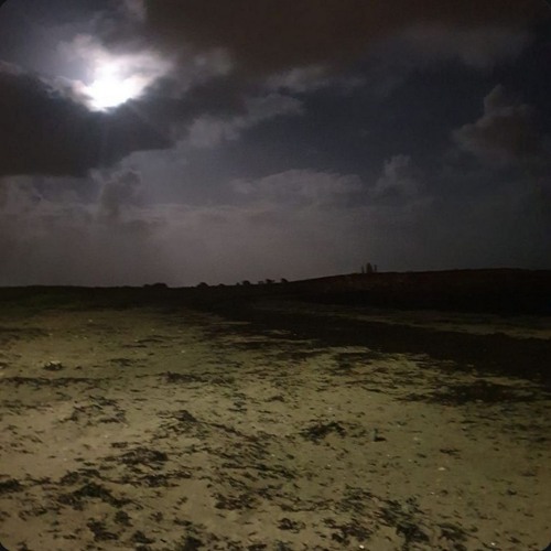 Stream Revin Goff music | Listen to songs, albums, playlists for free ...