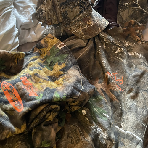 Stream Fin music | Listen to songs, albums, playlists for free on ...