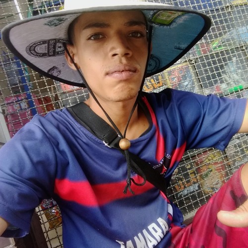 Stream $an Barbosa music | Listen to songs, albums, playlists for free ...