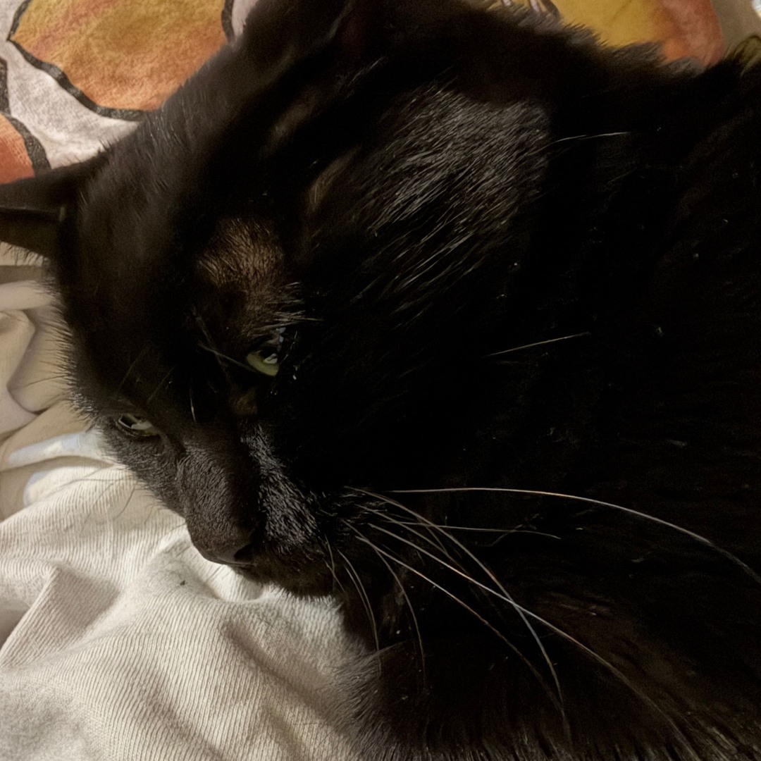 Stream James music | Listen to songs, albums, playlists for free on ...