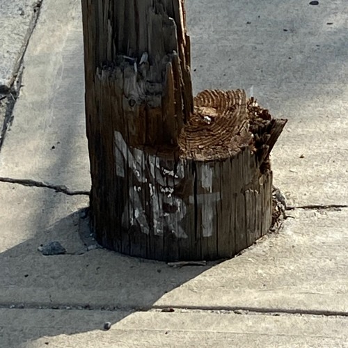 Stream carter allen music | Listen to songs, albums, playlists for free ...