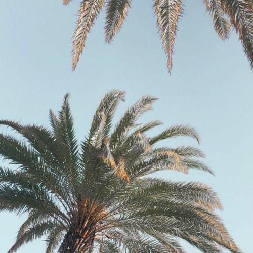 Stream Summer Sigma music | Listen to songs, albums, playlists for free ...