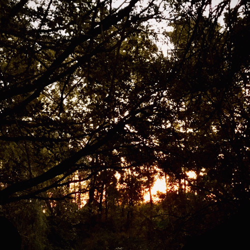 Stream Shireen Singer music | Listen to songs, albums, playlists for ...