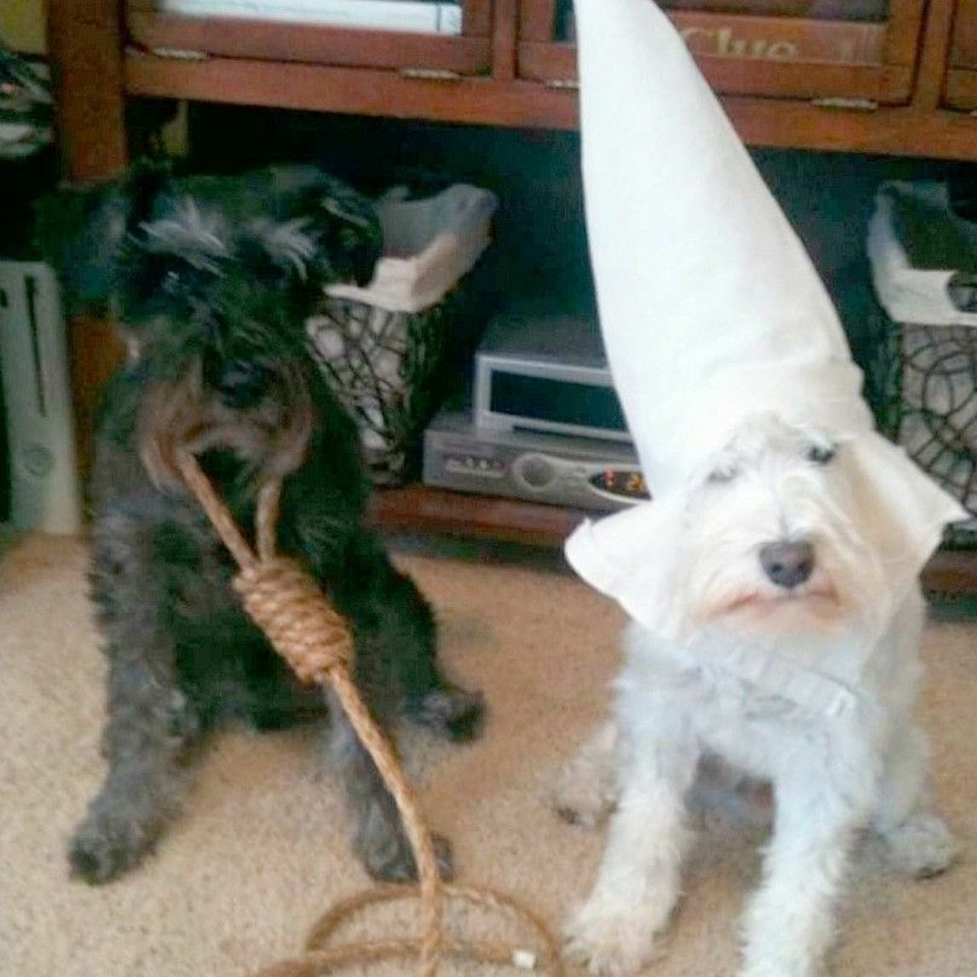 Stream grand wizard man music | Listen to songs, albums, playlists for ...