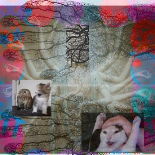 Stream Brackish music | Listen to songs, albums, playlists for free on ...