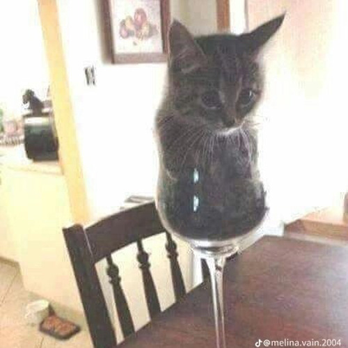 Stream Born Sinner Playboi Carti (Instrumental) by сори что трахнул ...