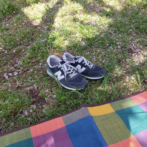 Stream Noriko music | Listen to songs, albums, playlists for free on ...