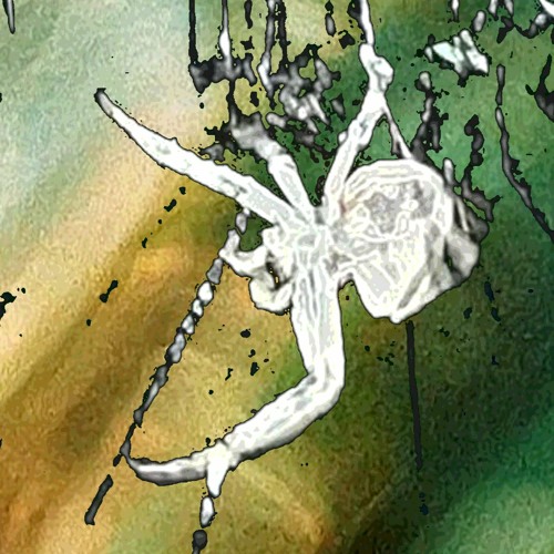 Stream Sore Winner music | Listen to songs, albums, playlists for free ...