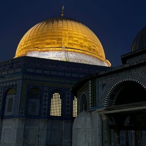 Stream 『Qais』🇵🇸 music | Listen to songs, albums, playlists for free on ...