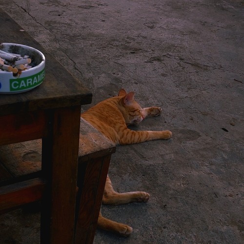 Stream Caz music | Listen to songs, albums, playlists for free on ...