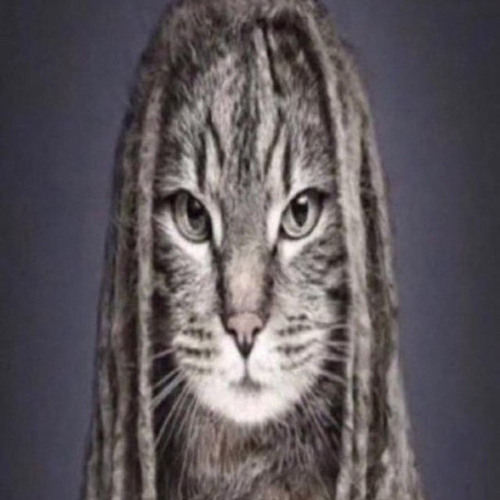 Stream Mr.Snooze music | Listen to songs, albums, playlists for free on ...