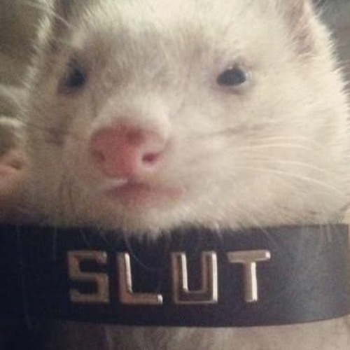 Stream Lil'Macky music | Listen to songs, albums, playlists for free on ...