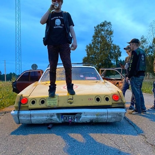 Stream träskiis music | Listen to songs, albums, playlists for free on ...