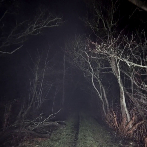 Stream DANIEL KEPLIN music | Listen to songs, albums, playlists for ...