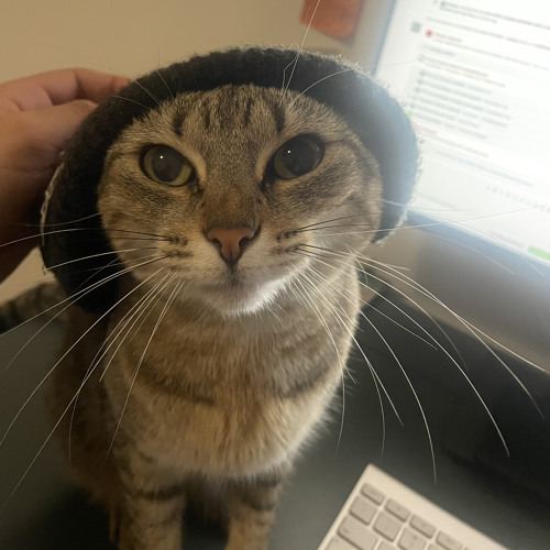 Stream thulioph music | Listen to songs, albums, playlists for free on SoundCloud