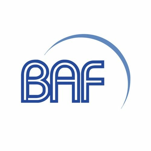 Stream BAF music | Listen to songs, albums, playlists for free on ...