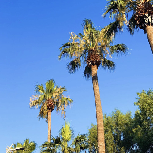 Stream RFS music | Listen to songs, albums, playlists for free on ...