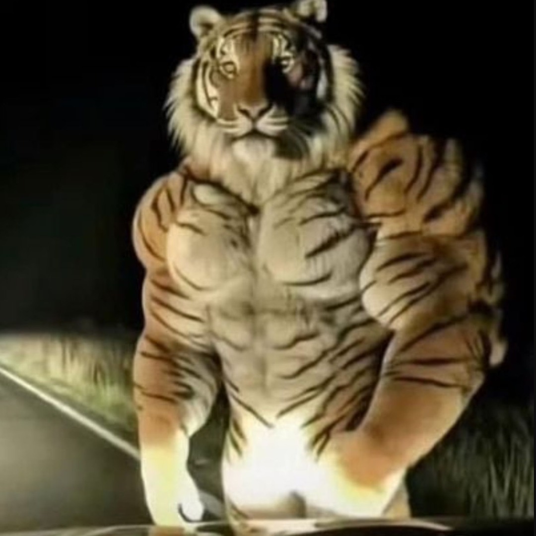 Stream DJ Zenite - Montagem Alucinaçao Maldita 80% SLOWED by Abobus ...