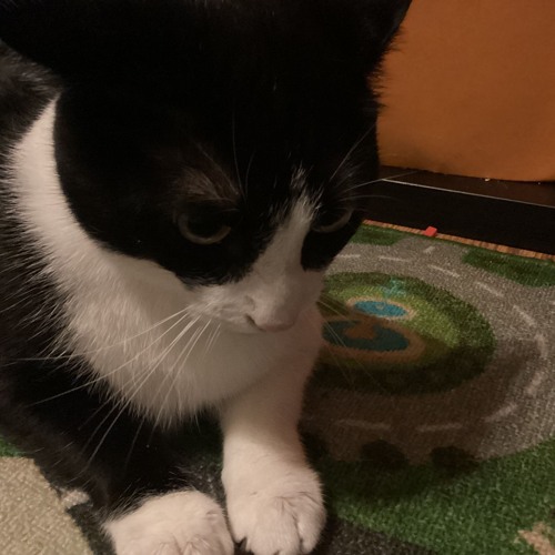 Stream MrDooley126 music | Listen to songs, albums, playlists for free ...