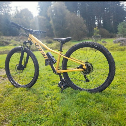 Stream Shane Bruce music | Listen to songs, albums, playlists for free ...