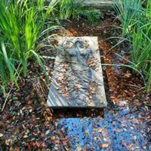 Stream Mandy Coetzee music | Listen to songs, albums, playlists for ...