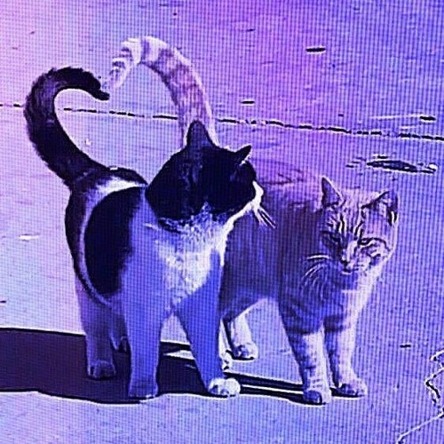 Stream Vibe Audios music | Listen to songs, albums, playlists for free ... Stream Vibe Audios music | Listen to songs, albums, playlists for free ...