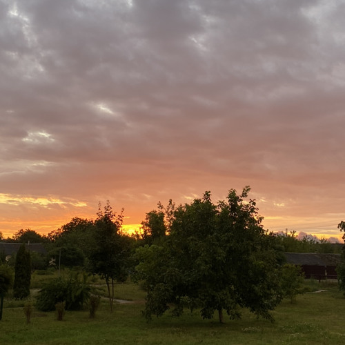 Stream kxll music | Listen to songs, albums, playlists for free on ...