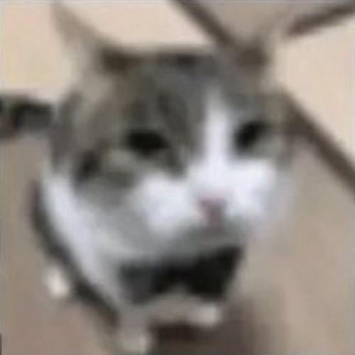 Stream Dj. Woogly Boogly music | Listen to songs, albums, playlists for ...