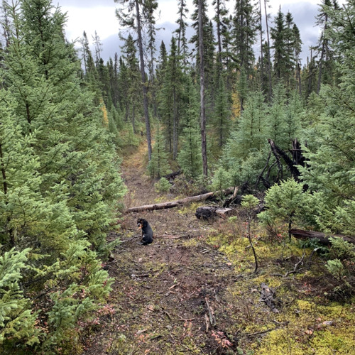 Stream Jessica Sapay music | Listen to songs, albums, playlists for ...