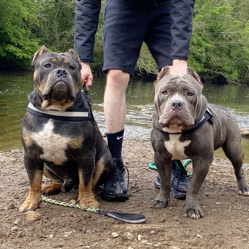 Stream Daryl Morrison 1 music | Listen to songs, albums, playlists for ...