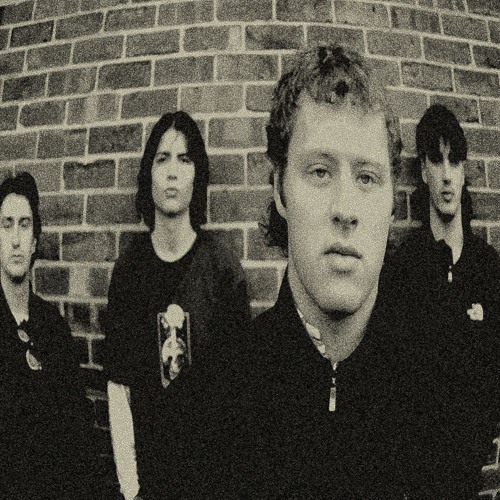 Stream Lazy Dingo music | Listen to songs, albums, playlists for free ...