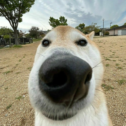 Stream lay_low music | Listen to songs, albums, playlists for free on ...