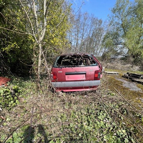 Stream Fayerzie_Bangz music | Listen to songs, albums, playlists for ...