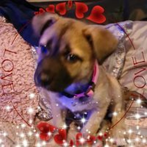 Stream coco-paris-thackeray. music | Listen to songs, albums, playlists ...